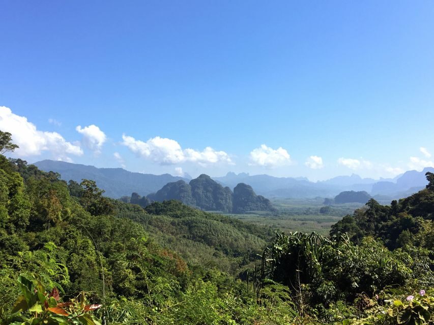 Khao Sok Jungle Day Trip - Jungle Trekking & Bamboo Rafting - Jungle Trekking – An Up-Close Encounter