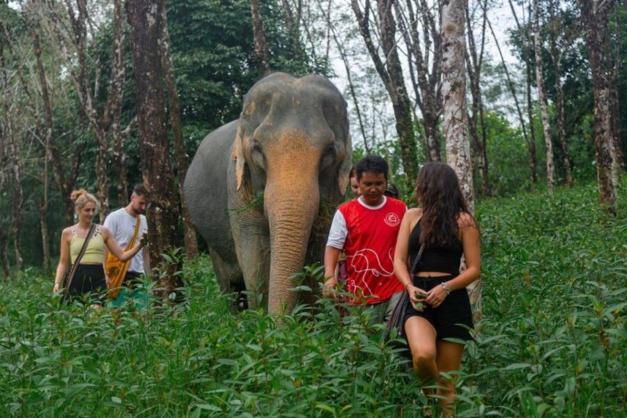 Khaolak: Sunset Elephant Walk with Complimentary Cocktail - Practical Details You Should Know