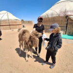 Khiva: Guided City Walking Tour with Local Guide - Who Should Consider This Tour?