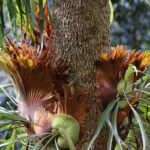 Kiama Blowholes, Sea Cliff Bridge and Royal National Park tour - The Experience’s Strengths and Considerations