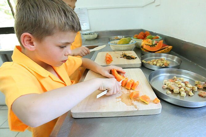 Kids Park Ranger for a Day - The Itinerary: How Your Day Unfolds