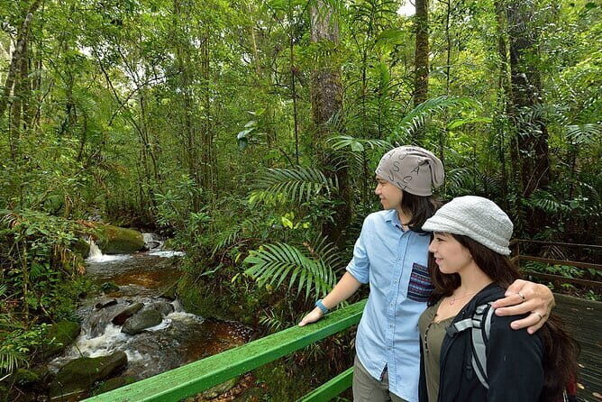 Kinabalu Park, Desa Dairy Farm & Poring Hot Springs Tour - Practical Aspects of the Tour