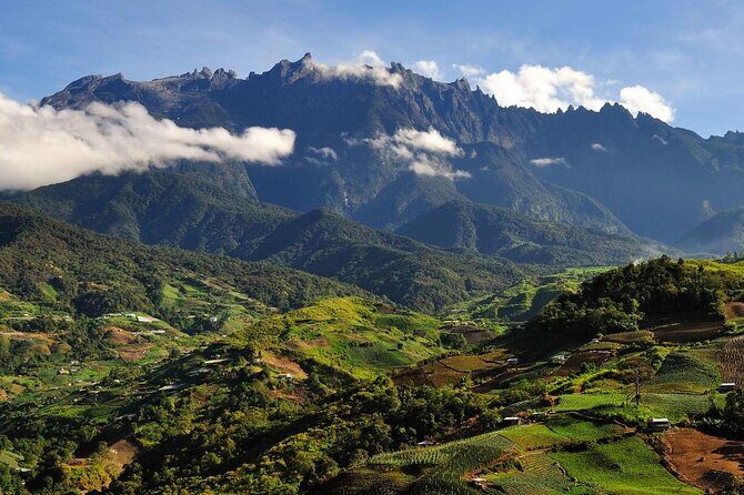 Kinabalu Park & Poring Hot Springs Tour with Desa Dairy Farm - What Makes This Tour Stand Out?