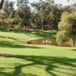 Kings Park Botanicals And Beyond - Why This Tour Offers Great Value