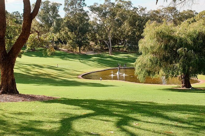 Kings Park Botanicals And Beyond - Why This Tour Offers Great Value