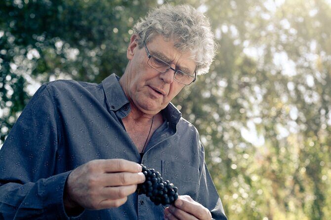 Kinross Winery: Valli Wine Tasting Experience - Who Will Love This Tour?