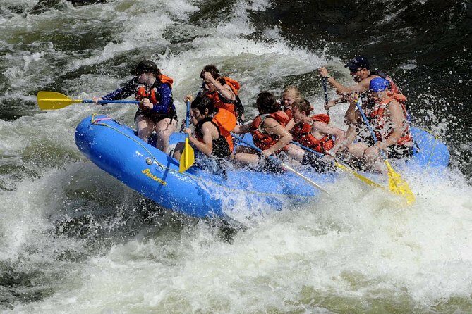 Kithulgala White Water Rafting Adventure - What’s the Experience Really Like?