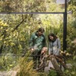 Kiwi Park Admission Ticket - Authentic Experiences and Reviews from Visitors