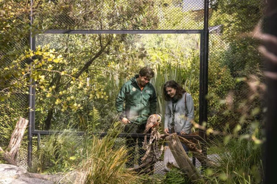 Kiwi Park Admission Ticket - Authentic Experiences and Reviews from Visitors