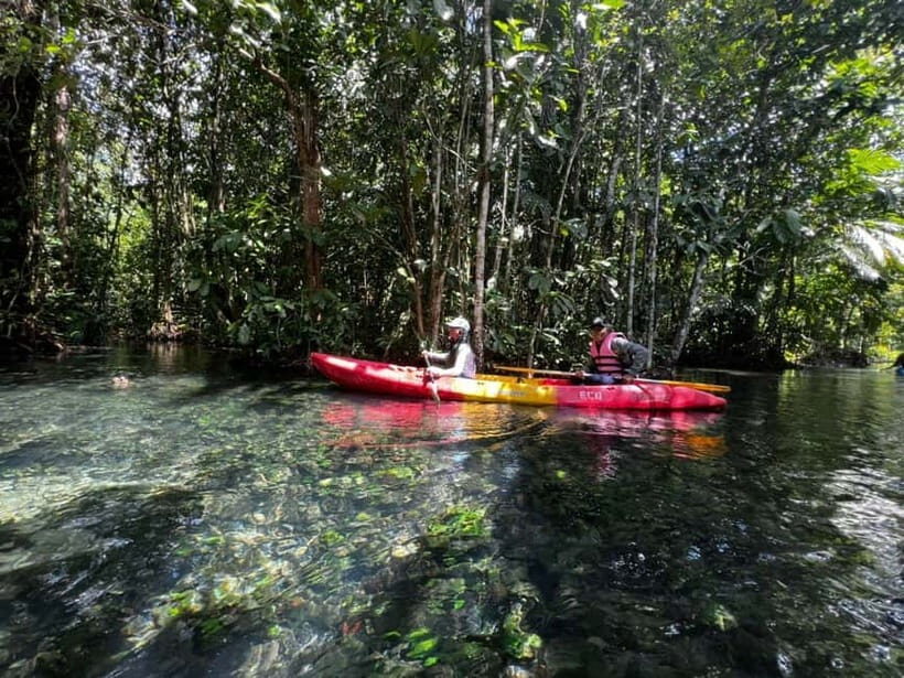 Klong Rud Kayaking with Hotel Transfer - What You Can Expect During the Tour