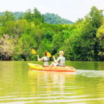 Ko Lanta: Mangrove Kayaking with Lunch and Hotel Transfer - Who Will Love This Tour?
