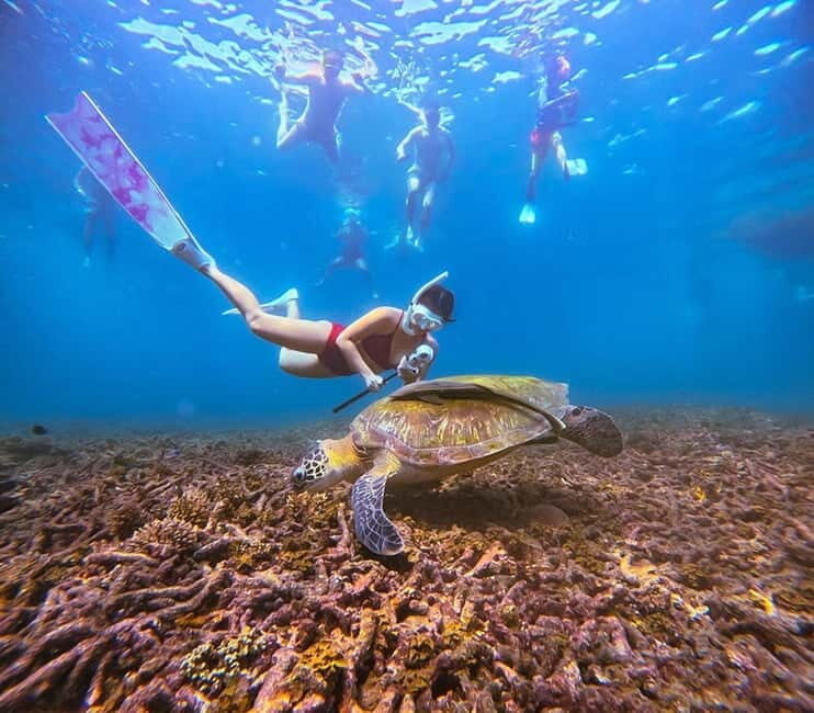 Ko Pha Ngan: Koh Tao & Koh Nangyuan Snorkeling Adventure - Assessing the Value and Overall Experience