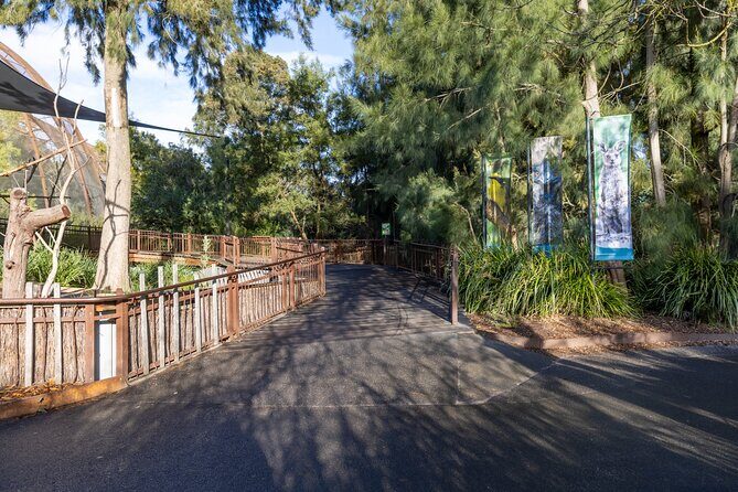 Koala Experience at Melbourne Zoo - excl. entry - Duration and Practicalities