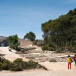 Koala Walking Tour in Kangaroo Island - Discovering Kangaroo Island’s Unique Landscape and Wildlife