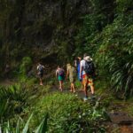 Koalas, Glow Worms & Kangaroos - Nature & Rainforest Walk - Authentic Insights from Travelers
