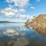 Koalas, Kangaroos and Lyrebirds - The Practicalities