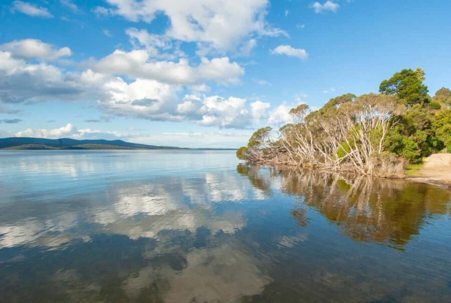 Koalas, Kangaroos and Lyrebirds - The Practicalities