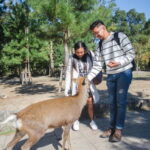 Kobe: Private Walking Shore Excursion- Kyoto/Osaka/Nara/Kobe - Who Will Benefit Most from This Tour?