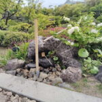 Kobe: Sorakuen Garden Guided Walking Tour - A Deep Dive into the Sorakuen Garden Experience