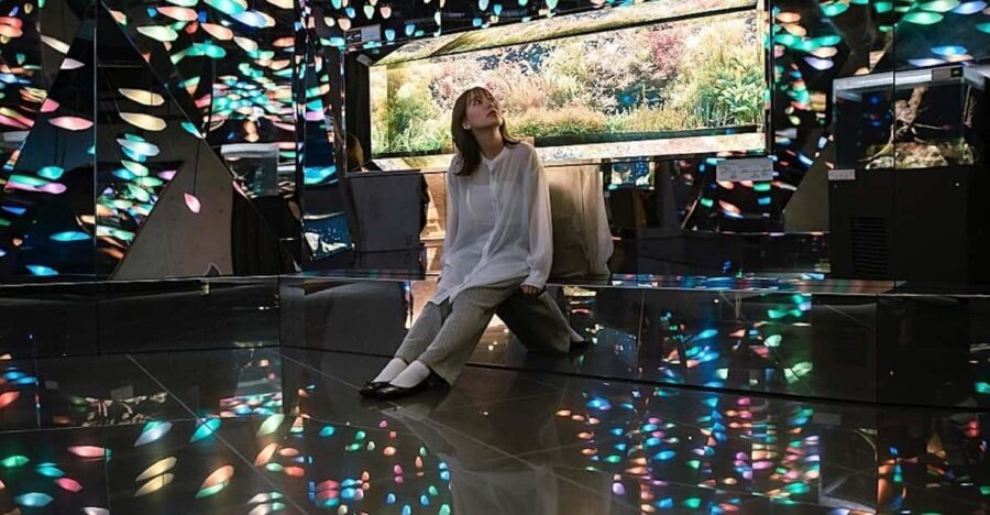 Kobe: Urban Aquarium AQUARIUM×ART átoa Entry Ticket - Is it Worth the Price?