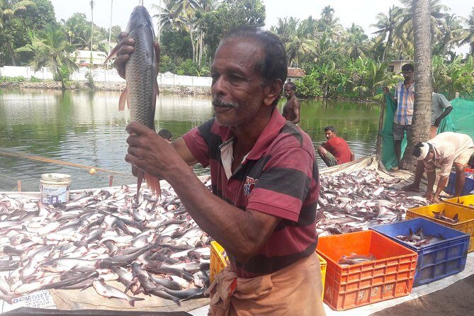 Kochi Overall Private & Group Tours: Customizable: Pick and Drop. - A Closer Look at the Tour Experience