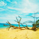 Koh Lanta: 4 Islands and Emerald Cave Snorkeling Trip - The Practicalities: What’s Included and What to Bring