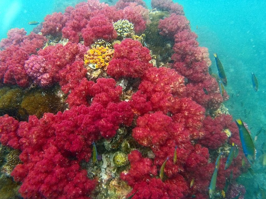 Koh Lipe Snorkeling Trip 6 hours Trip1 - The Itinerary Breakdown: What Youll Experience