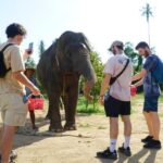 Koh Samui: 4x4 Sightseeing Safari & Elephant Sanctuary Tour - Practical Details and Tips
