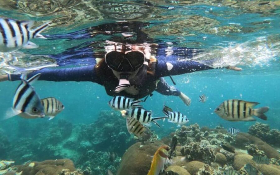 Koh Samui: Ang Thong Marine Park Day Tour by Speedboat - What Do You Get for the Price?