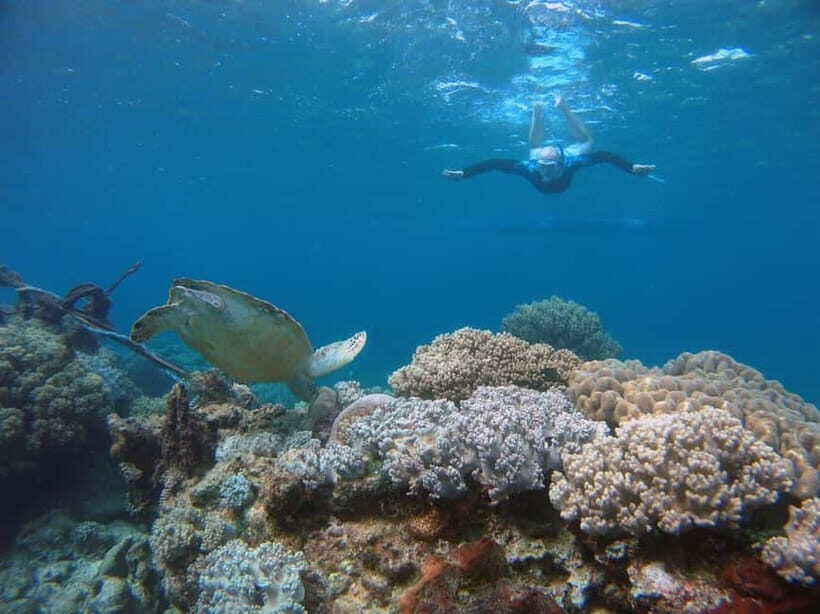 Koh Samui: Ang Thong National Marine Park Boat Trip w/ Lunch - Who’s This Tour Best For?