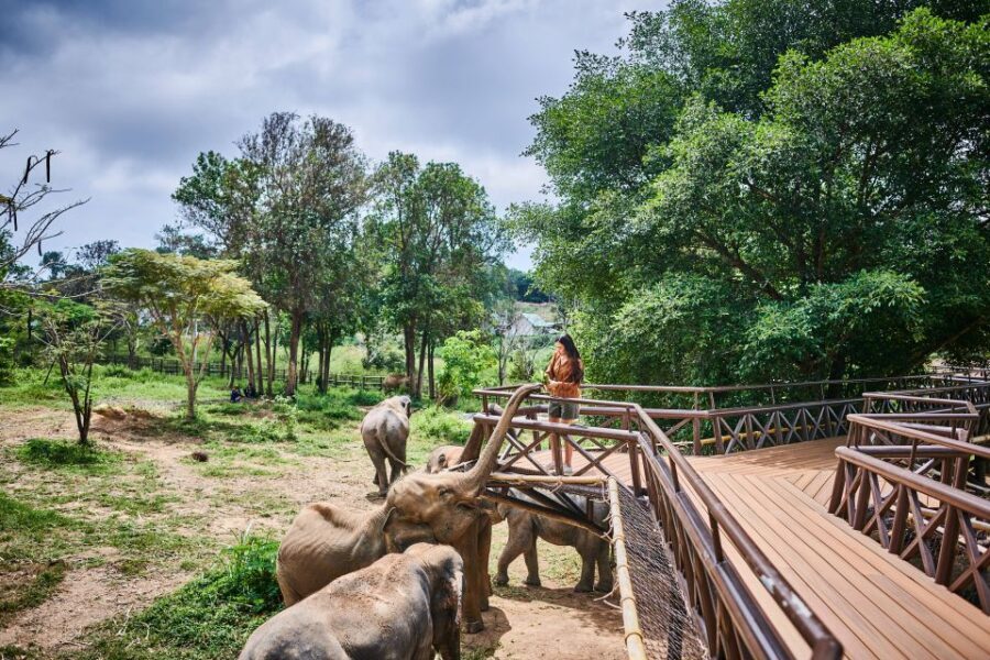 Koh Samui: Elephant Kingdom Sanctuary Half-Day Tour - Logistics and Practicalities