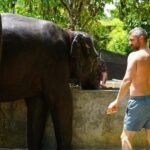 Koh Samui: Half-Day Ethical Elephant Sanctuary with Mud Spa - Analyzing Value: Is the Price Justified?
