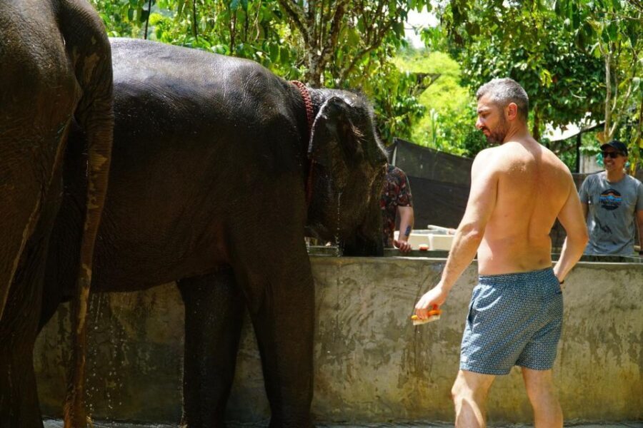 Koh Samui: Half-Day Ethical Elephant Sanctuary with Mud Spa - Analyzing Value: Is the Price Justified?