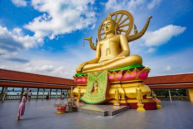 Koh Samui Half Day Island Guided Tour - Who Would Love This Tour?