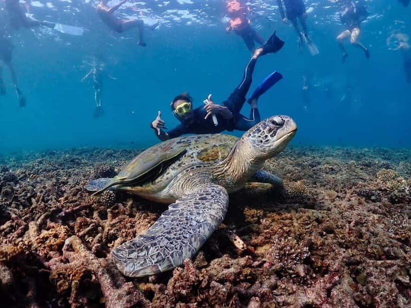 Koh Samui: Koh Tao and Koh Nang Yuan Speedboat Join Tour - What Travelers Can Expect
