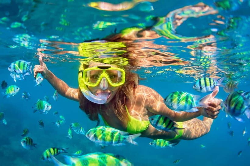 Koh Samui: Koh Tao & Nang Yuan Day Tour with Snorkel, Lunch - Practicalities and Tips for the Tour