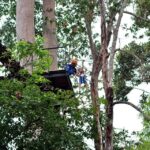 Koh Samui: Panoramic Zipline Experience at Samui Zipline - Why This Tour Is Worth Considering