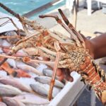 Koh Samui: Private Half-day Taxi Tour in the North - Why This Tour Works Well