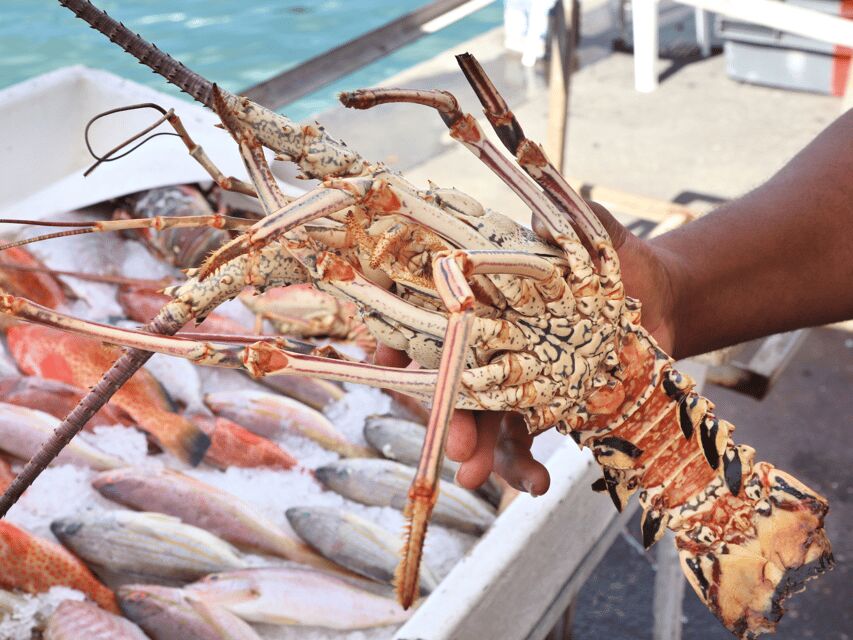 Koh Samui: Private Half-day Taxi Tour in the North - Why This Tour Works Well