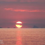 Koh Samui: Sunset Pig Island and Snorkeling Koh Tan w/Dinner - The Sum Up: A Well-Rounded Day in Koh Samui
