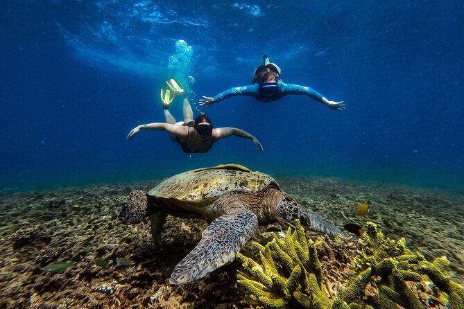 Koh Tao Snorkeling and Island Hopping Tour (Private) - What’s Included and What’s Not?
