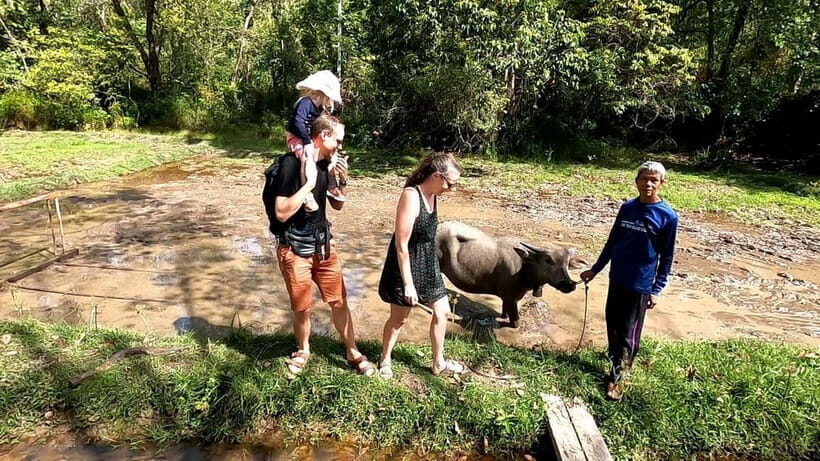 Koh Yao Yai: Eco-Cultural Experience with Beach Lunch - Discovering Koh Yao Yai: An Authentic Eco-Cultural Escape