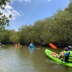 Koh Yao Yai: Klong Hia Mangrove Kayaking - Learning from Local Fishermen