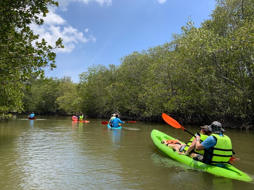 Koh Yao Yai: Klong Hia Mangrove Kayaking - Learning from Local Fishermen