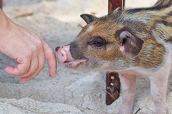kohsamui.tours - Secret Islands Longtail Boat trip - Concluding Thoughts
