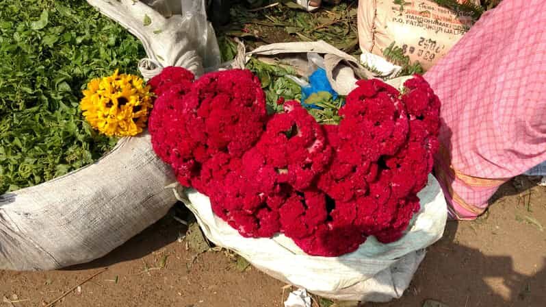 Kolkata: Half-Day Morning Tour w/ Flower Market - The Practicalities: What’s Included and What’s Not