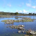 Kooyang Yana Full Day Tour - Budj Bim - Who Should Book This Tour?