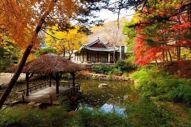 Korean Folk Village Private Tour - What Travelers Are Saying