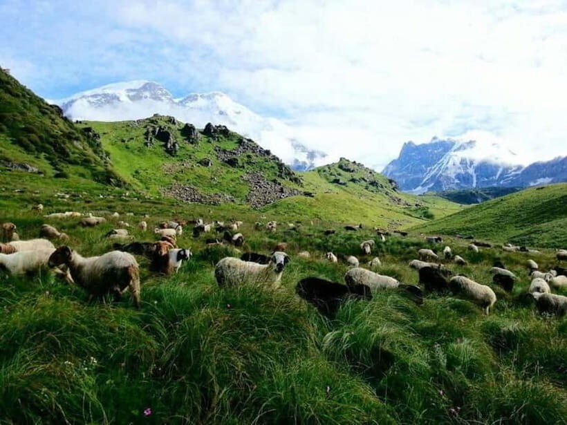 Kori Danda 3-Day Trek - Introduction to the Kori Danda Trek