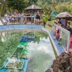 Koror City Tour - An In-Depth Look at the Koror City Tour